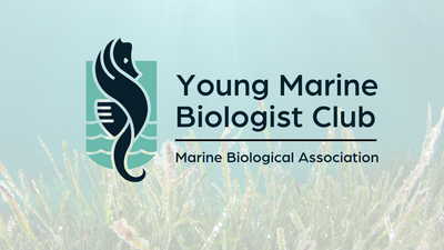 MBA | Young Marine Biologist Club: Discovering the secrets of marine ...