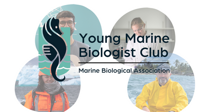 MBA | Young Marine Biologist Club: Mini Career Panel