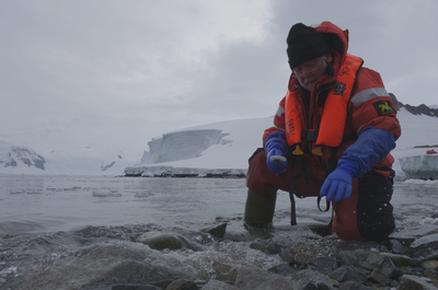 MBA | Young Marine Biologist Club: A Marine Biologist in Antarctica