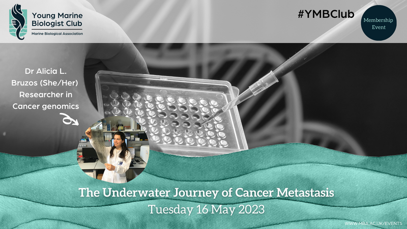 MBA | Young Marine Biologist Club: The underwater journey of cancer ...