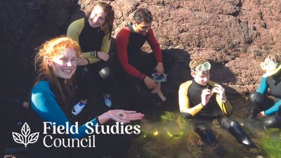 MBA | Field Studies Council Snorkelling for Marine Biology - Dale Fort